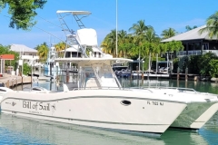 2006 World Cat 330 TE| 33' - Novielli Boats