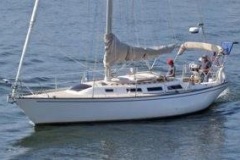 1982 Catalina 38| 38' - Novielli Boats
